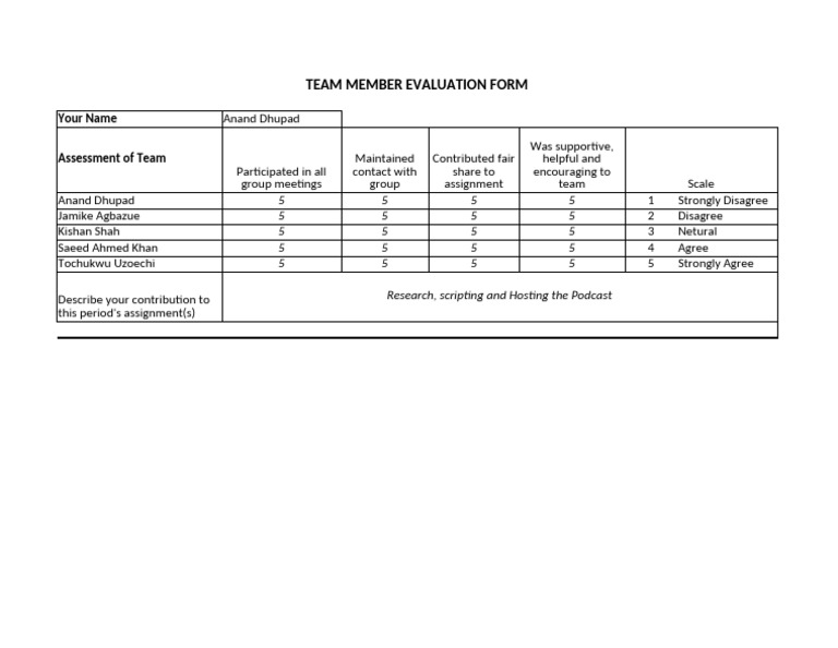 TeamMember EvaluationForm | PDF