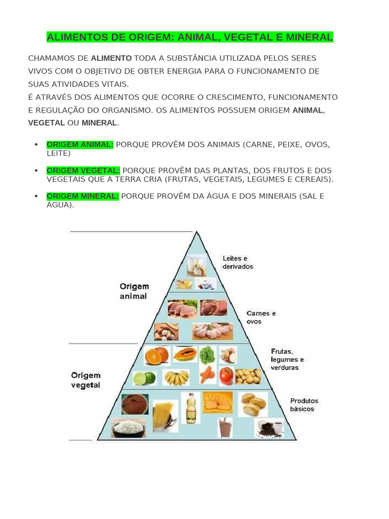 Origem dos Alimentos: Atividades Educativas | PDF