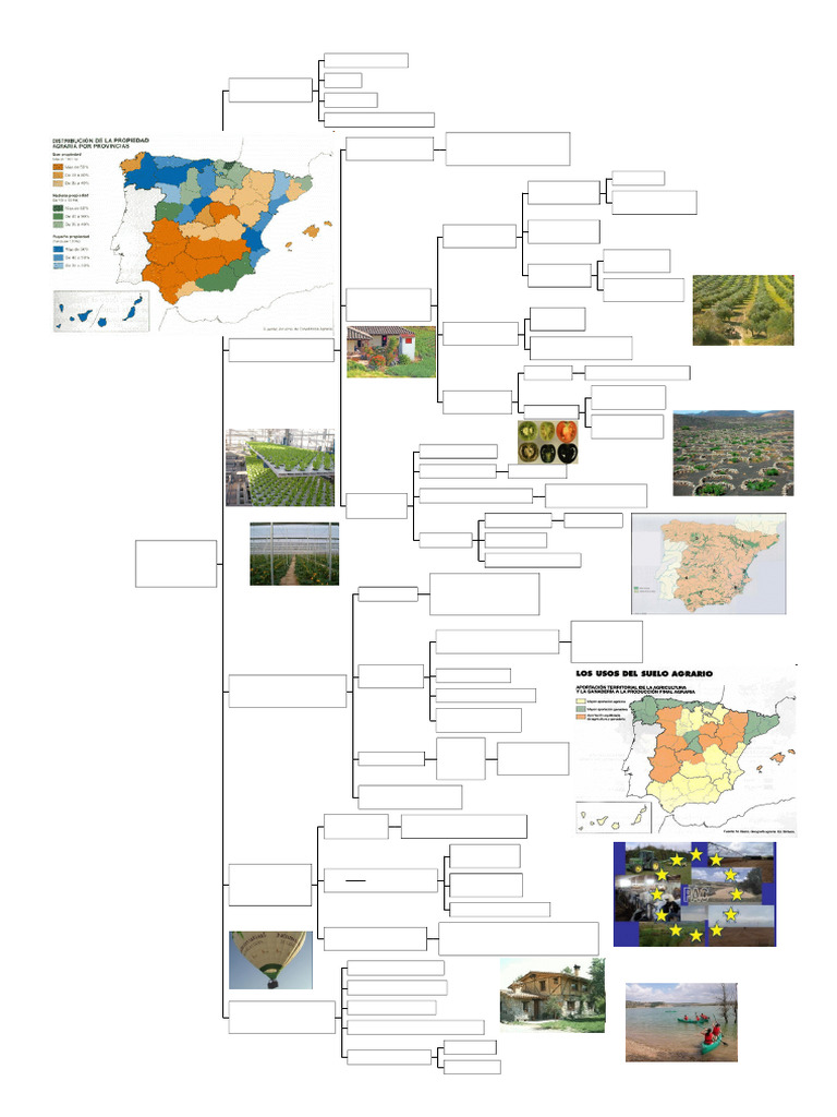 esquema-tema-12 | PDF | Agricultura | Política Agrícola Común