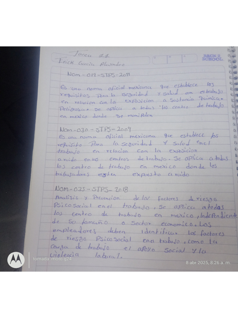 HSI - Garcia Alejandro Erick - Tarea 11 | PDF