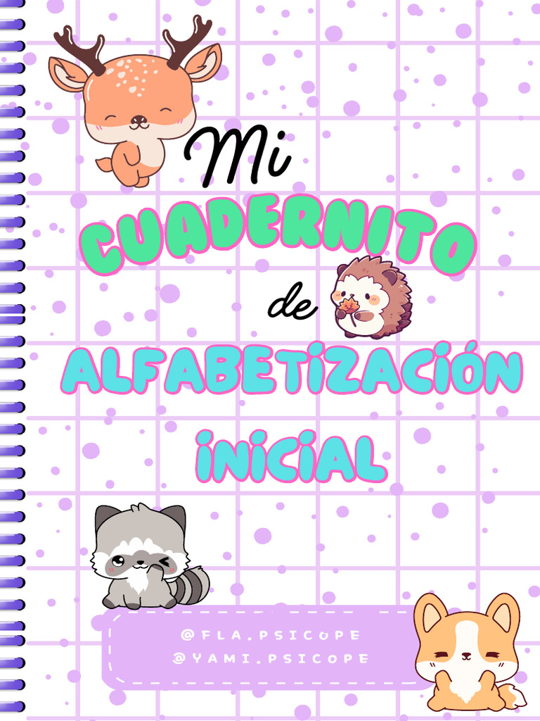 Mi Cuadernito de Alfab Inicial | PDF