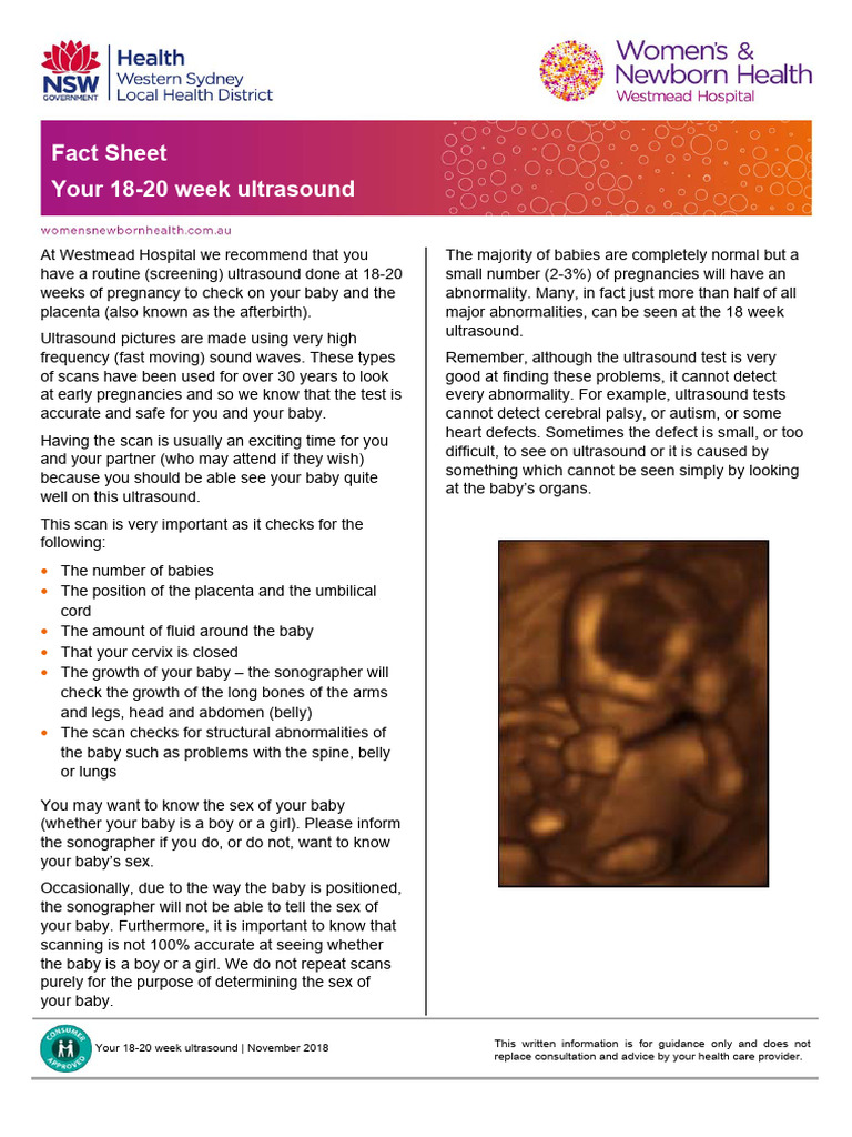 Morphology Scan at 18 Weeks Nov2018 | PDF | Pregnancy | Medical Ultrasound