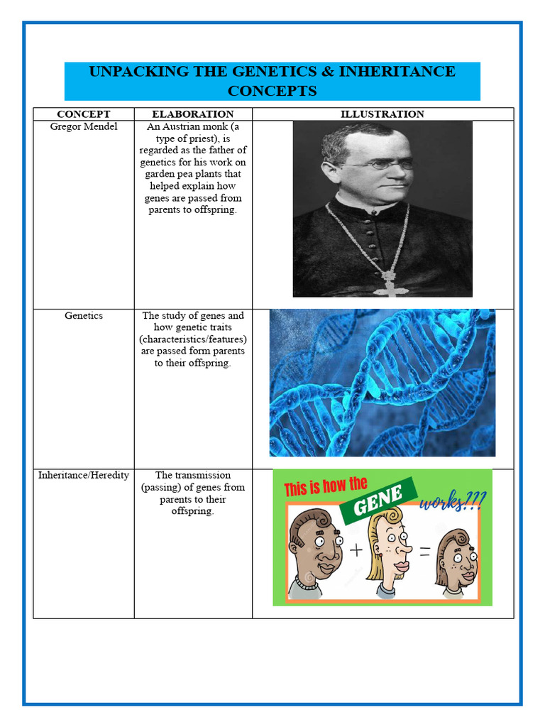 Unpacking The Genetics & Inheritance Concepts | PDF | Dominance (Genetics) | Allele