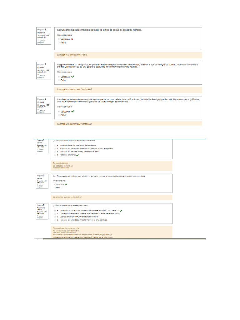 Informatica II Tp Excel | PDF