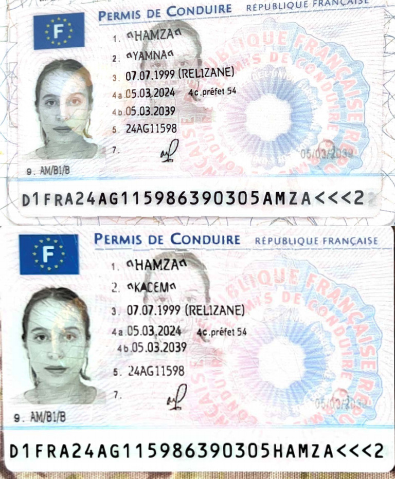 French Driving License Details | PDF