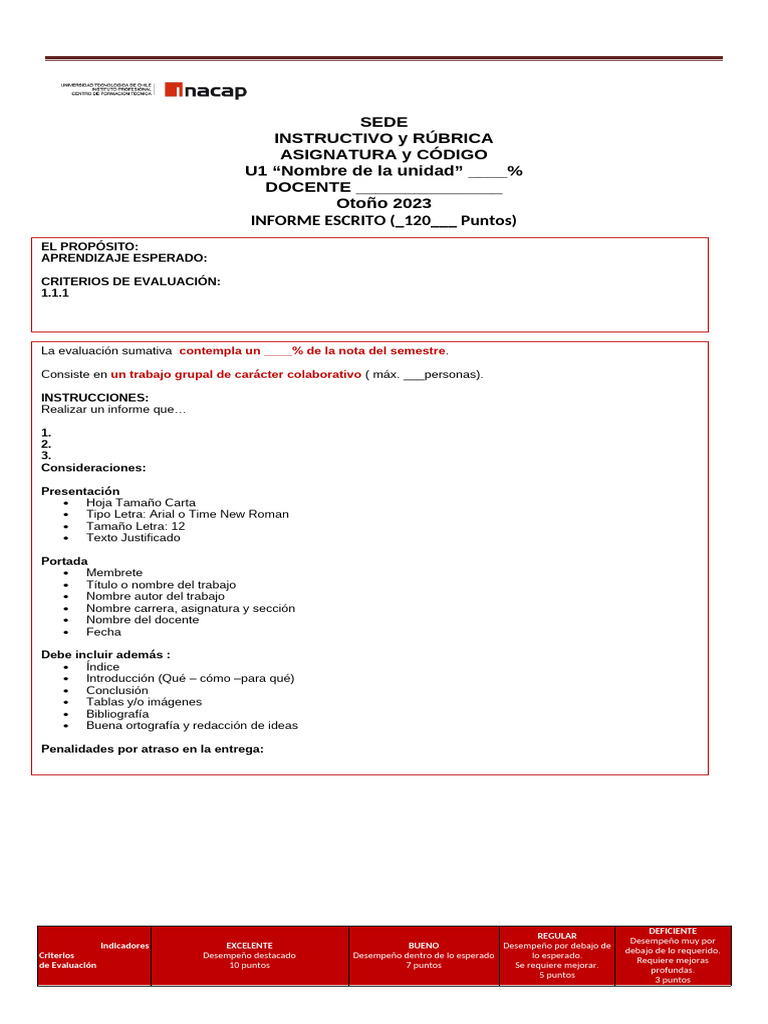 Instructivo y Rúbrica Informe escrito | PDF