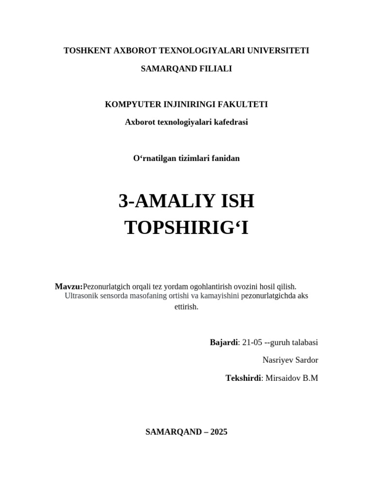 Mustaqil Ish | PDF