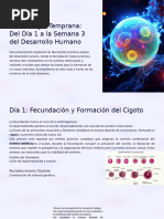 Atlas del Desarrollo Embrionario del Perro | PDF | Embrión | Procesos ...
