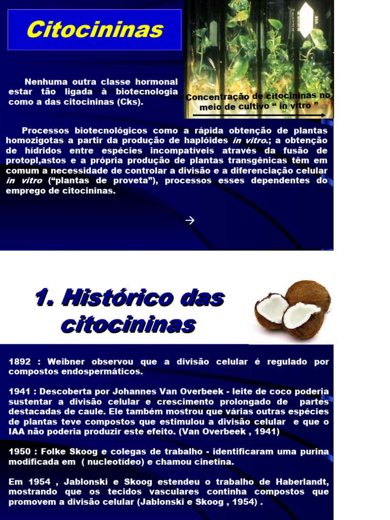 Fisiologia Vegetal - Citocininas | PDF | Auxinas | Plantas