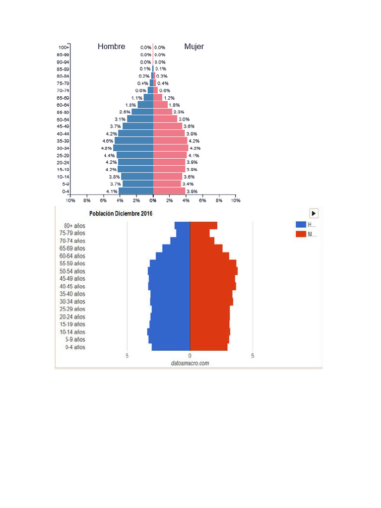 Population pyramids | PDF