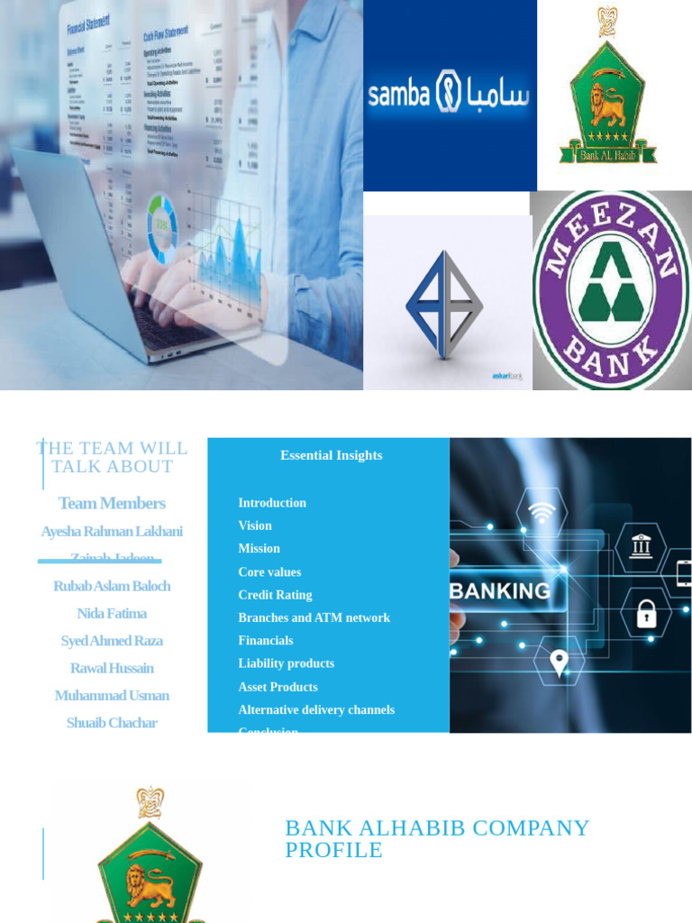 Banking Company Profiles and Insights | PDF | Debit Card | Visa Inc.