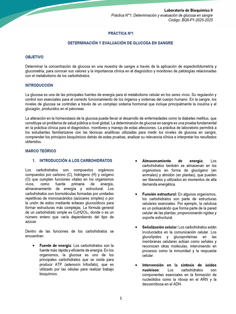 BQ2 GP1 2025-2025 | PDF | Carbohidratos | Glucógeno