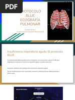Protocolo Blue | PDF | Enfermedades y trastornos | Neumología