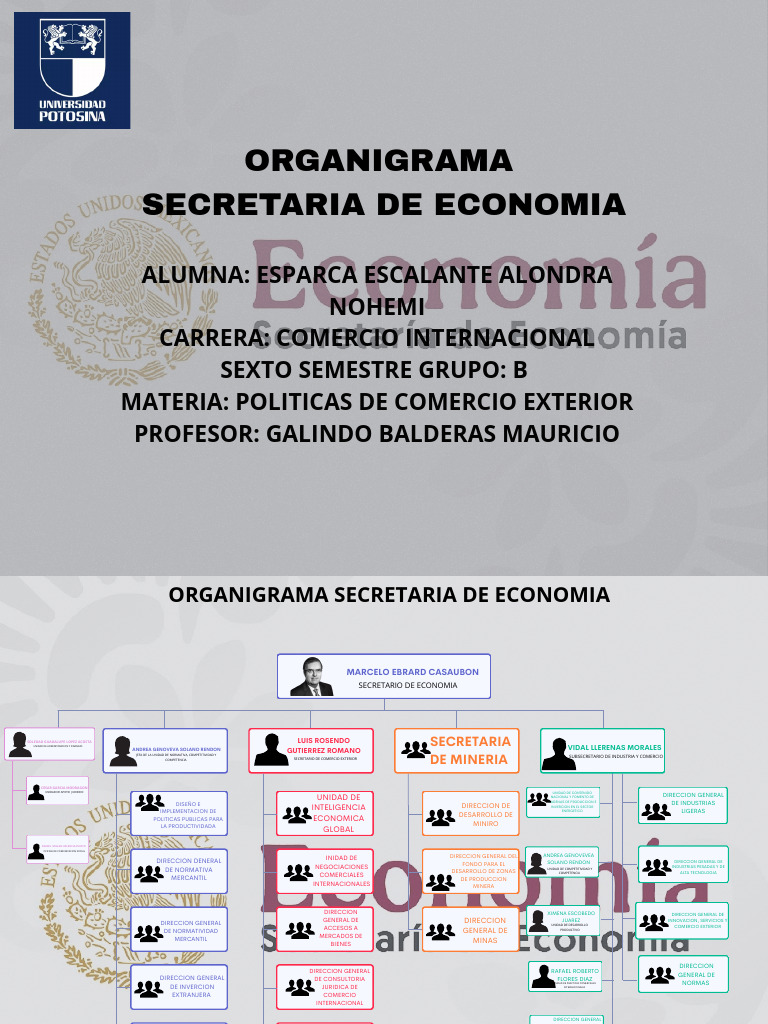 Organigrama Secretaria de Economia Politicas | PDF | El comercio internacional | Comercio