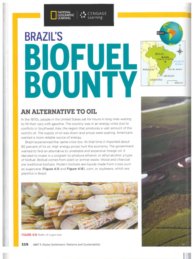 Brazil's Biofuel Bounty-Pg114-P118 | PDF