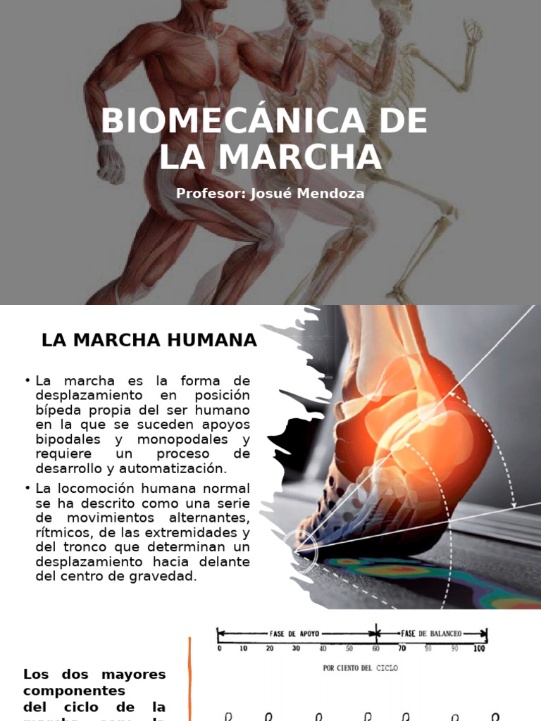 Biomecánica de La Marcha | PDF | Pie | Pelvis