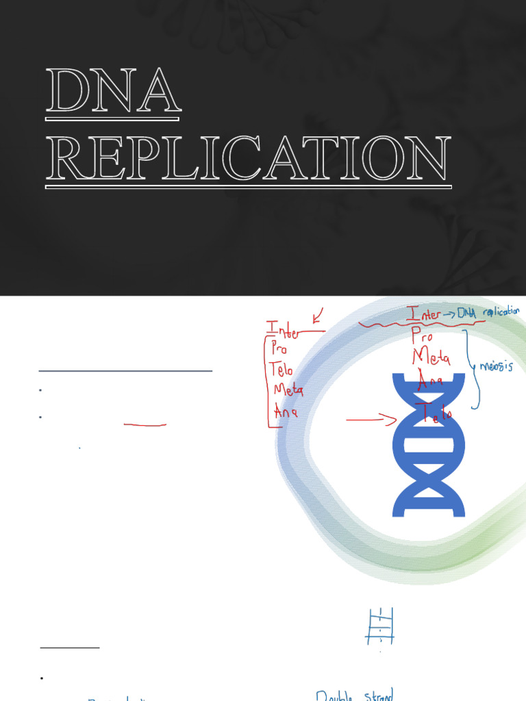 Dna Replication | PDF