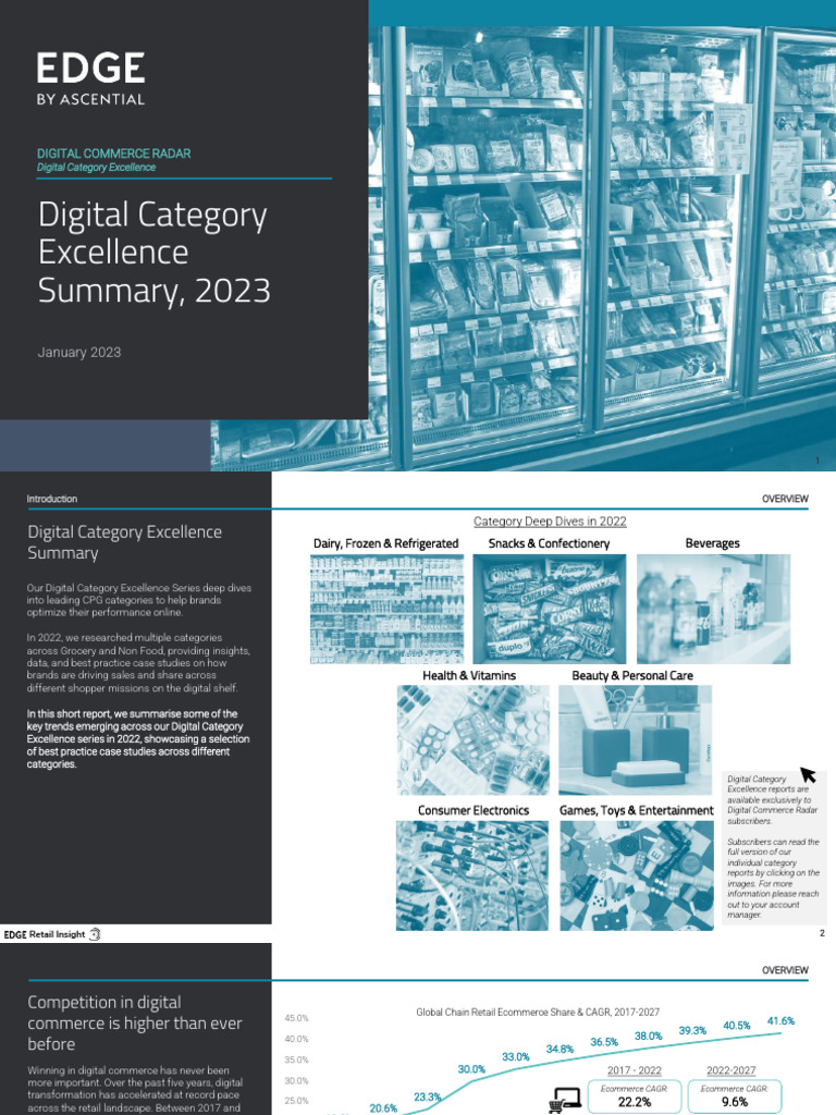 2023 Digital Category Excellence Summary | PDF | Retail | E Commerce