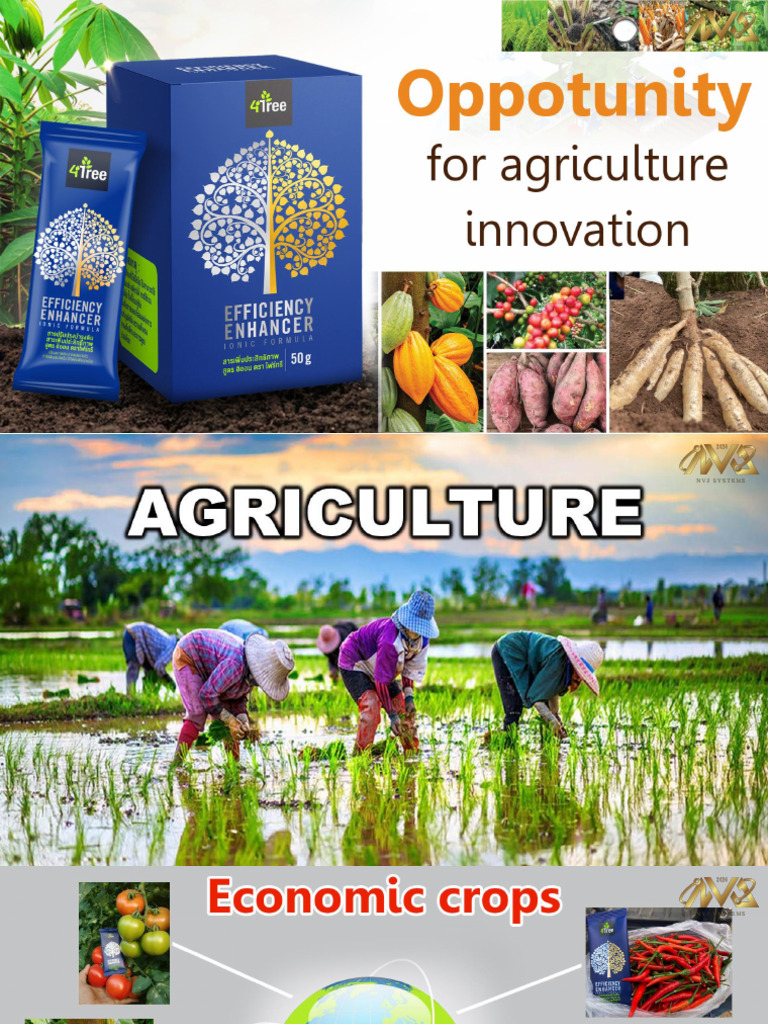 Abb A4s 4tree Ivory Coast For Leader | PDF