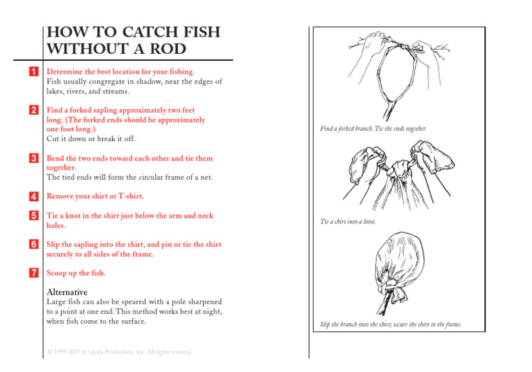 How to Catch Fish Without a Rod | PDF