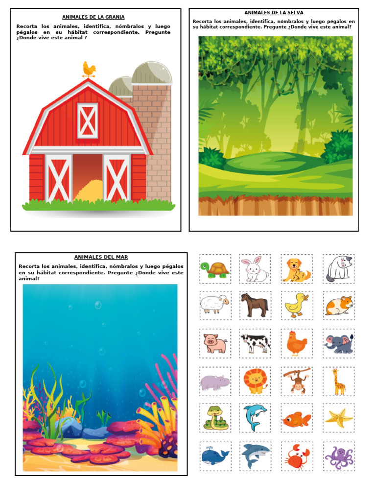 Actividad HABITAD de Animales de La Granja, Selva y Mar | PDF