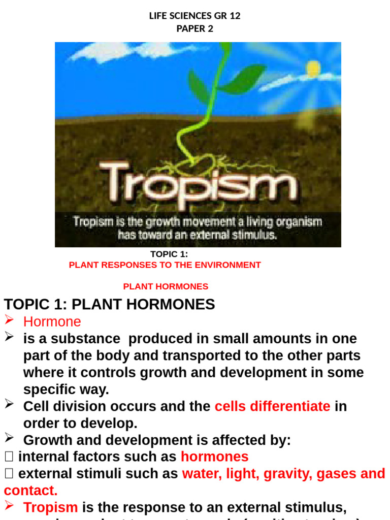 PLANT HORMONES Life Science Grade 12 | PDF | Plant Hormone | Auxin