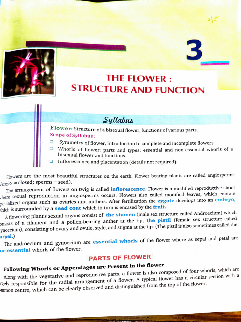 Class Ix Chapter Flower | PDF | Flowers | Petal
