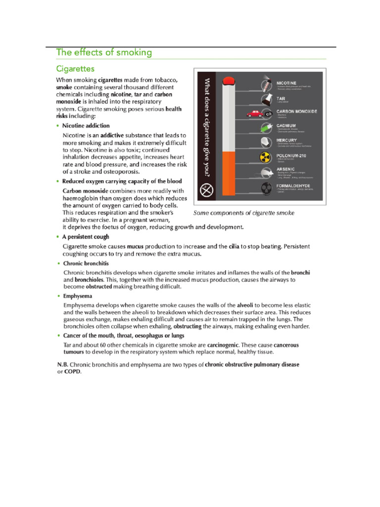 Handout - Effects of Smoking | PDF