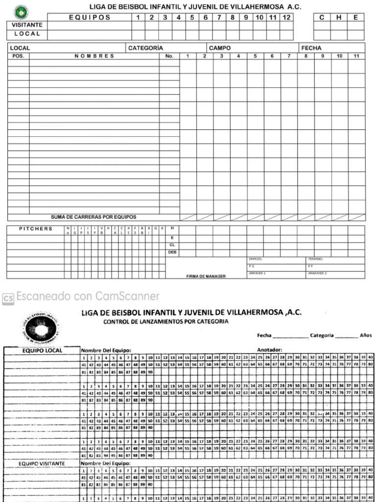 Formato PDF de Line Up Beisbol | PDF