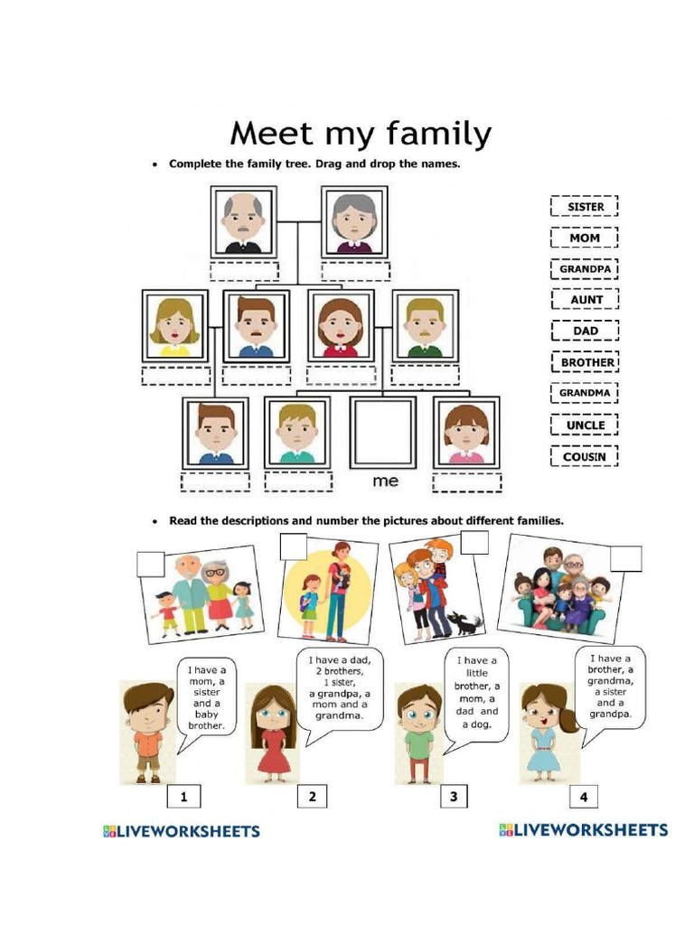 Family Members + Verb To Be Negative | PDF