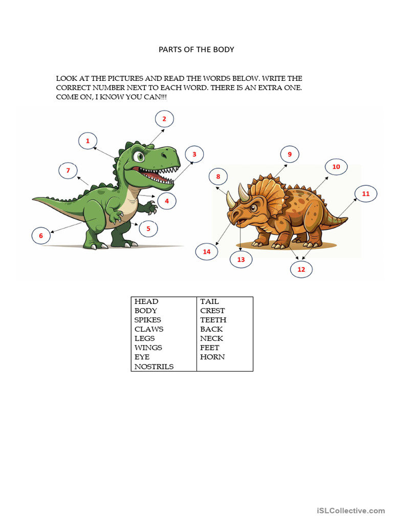Parts of The Body - Dinosaurs | PDF
