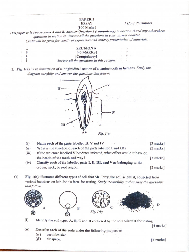 Integrated Science MOCK 5 | PDF