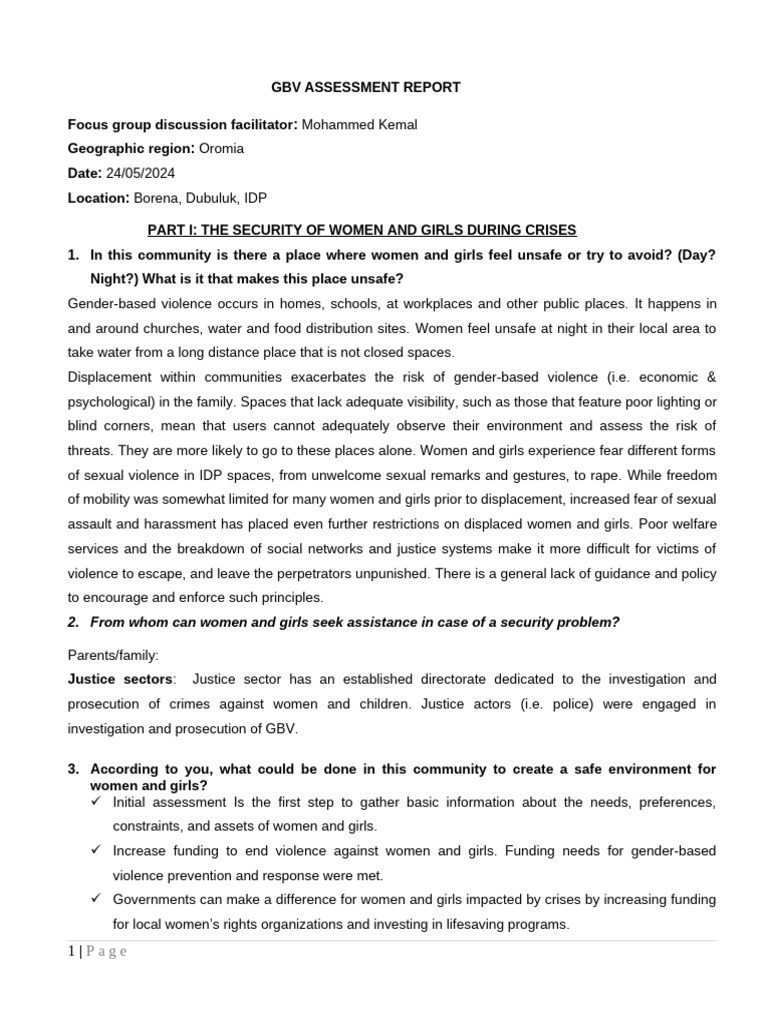 GBV Risk Assessment Report | PDF | Violence | Woman