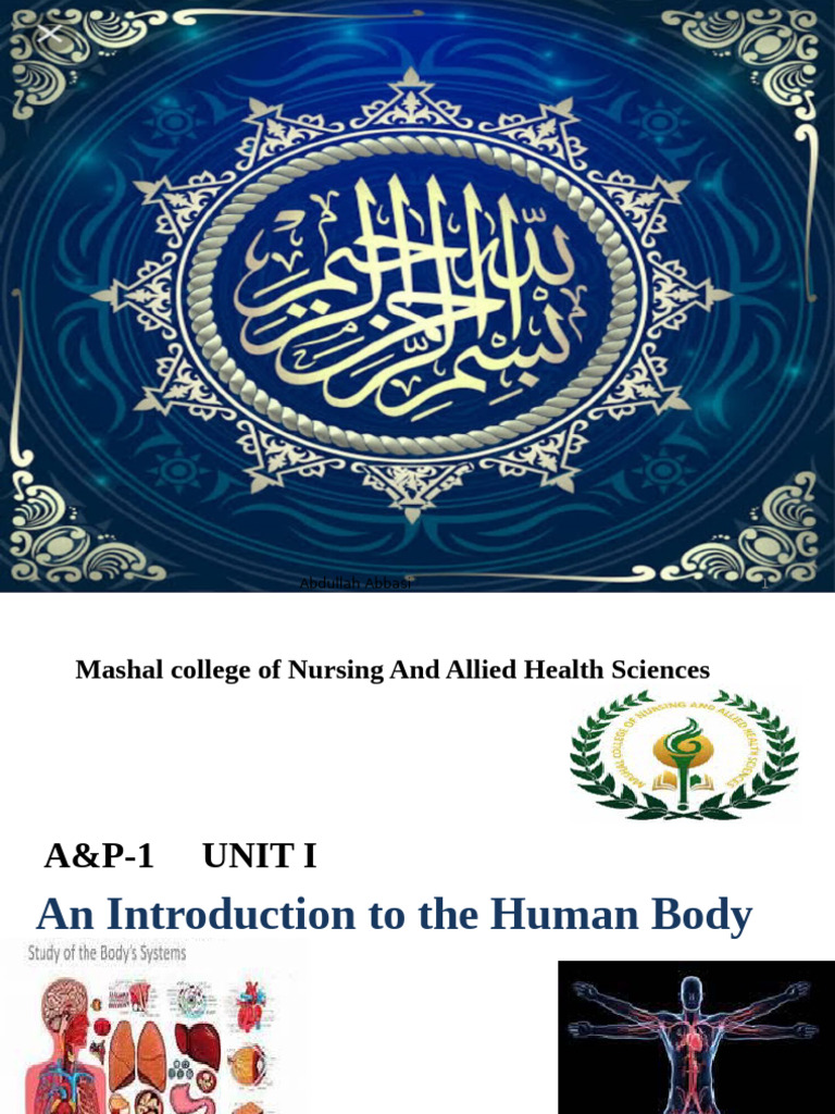 1, An Introduction To The Human Body .Abd | PDF | Abdomen | Anatomical ...