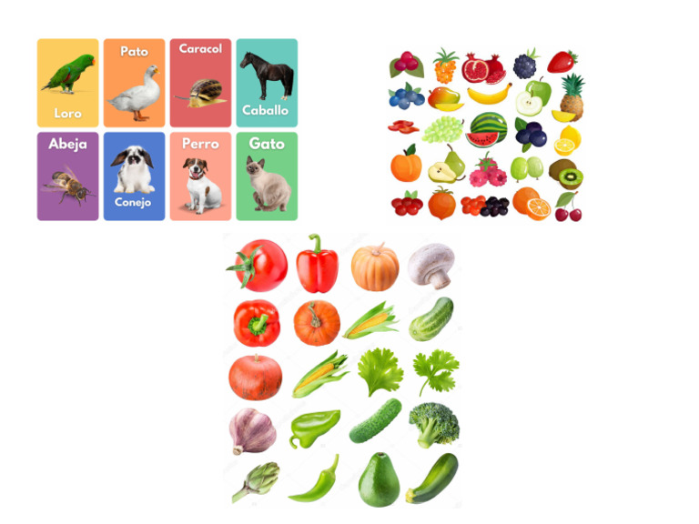 Campos Sem-Nticos Ejemplos | PDF