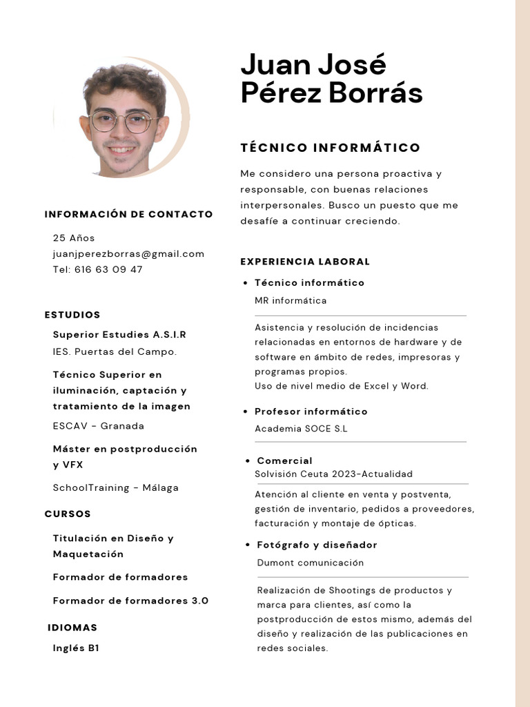 Curriculum Juan José Pérez Borrás | PDF