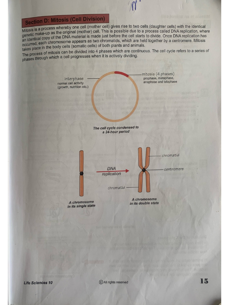 Section 2 - Term 1 Life Sciences Grade 10 | PDF