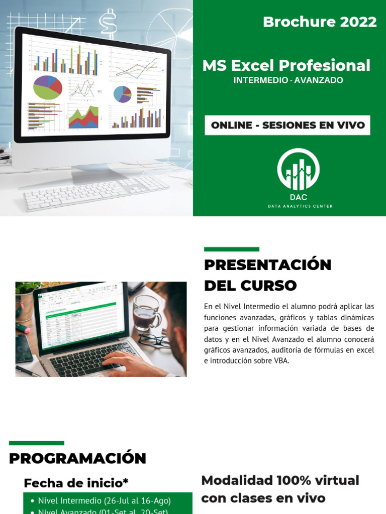 Brochure Excel Profesional (Intermedio - Avanzado) | PDF | Microsoft ...