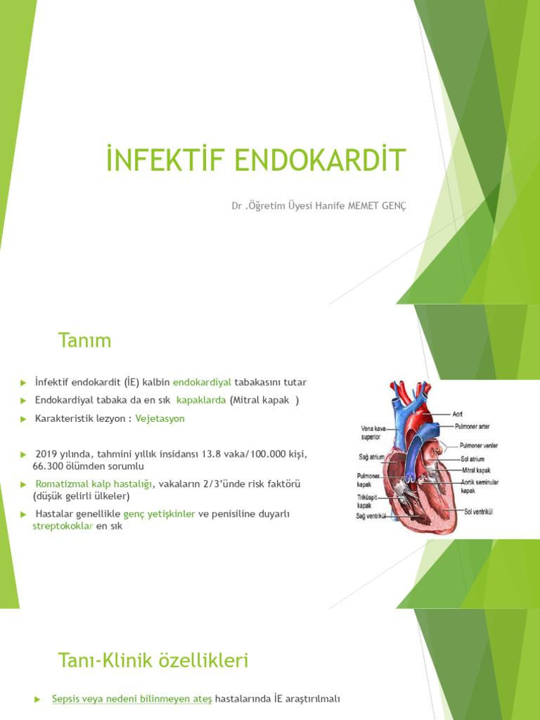 Infektif Endokardit Kardiyoloji | PDF