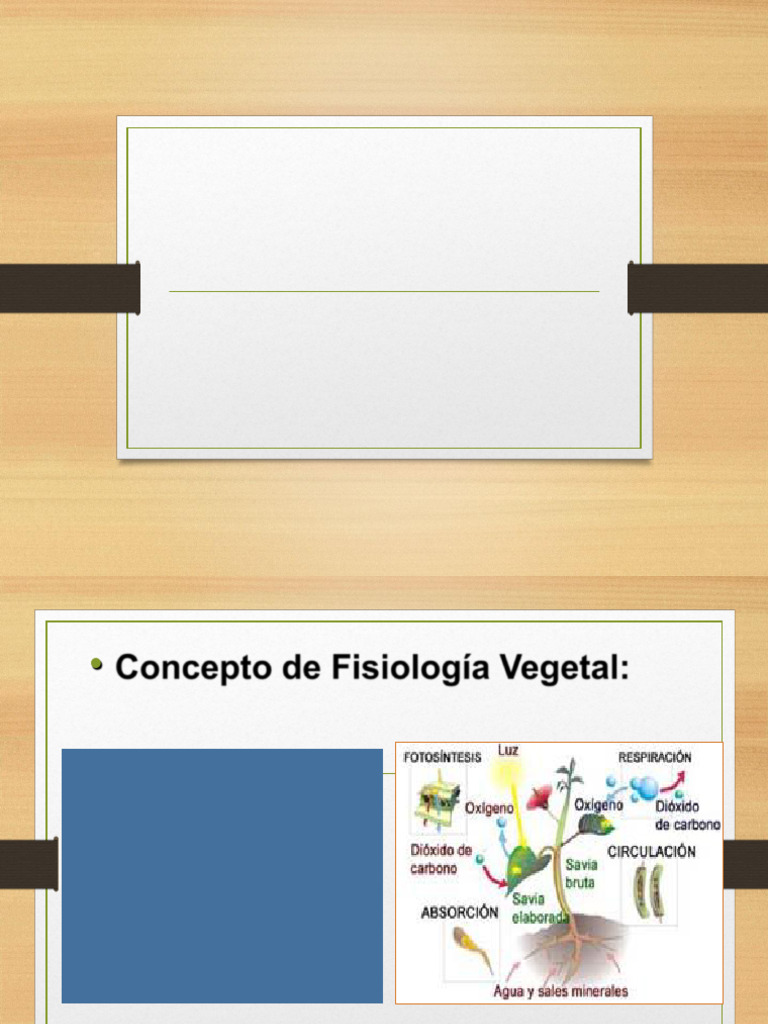Fisiologia Vegetal I Unidad I | PDF | Hormona Vegetal | Estoma