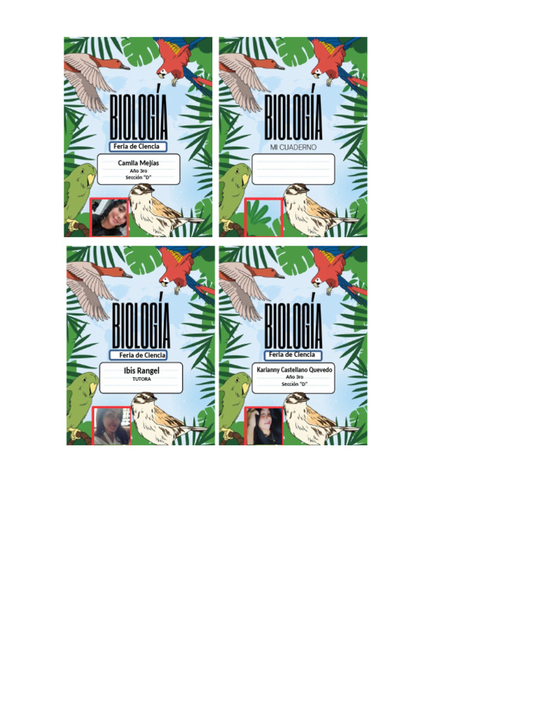 Carnet Alejandra | PDF