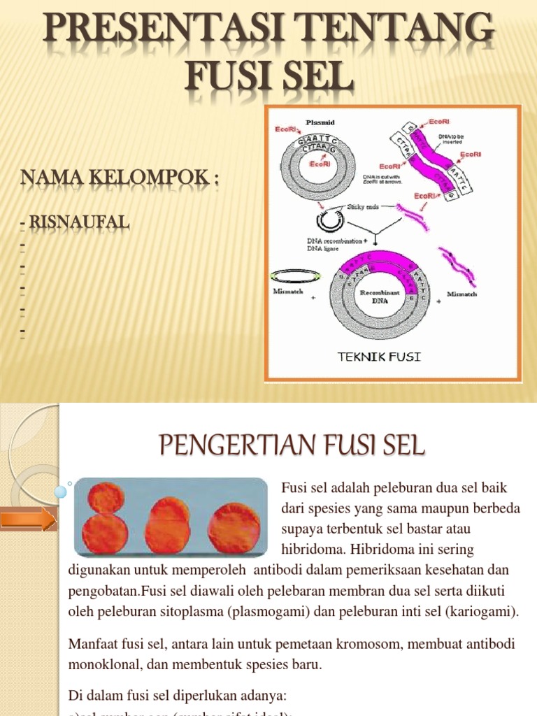 Presentasi Fusi Sel (JOB) | PDF