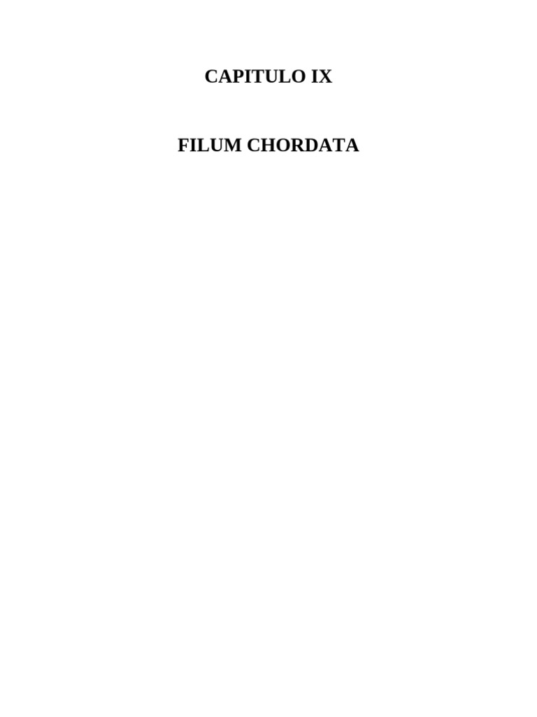 Filum Chordata | PDF | Reptil | Branquia