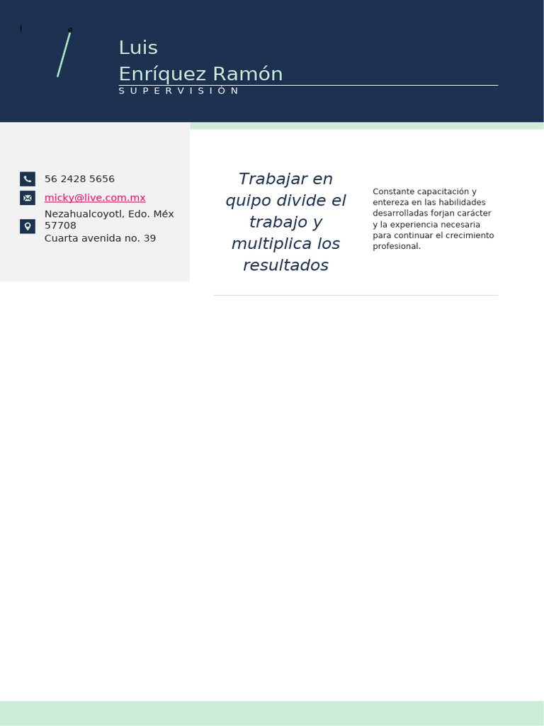 CV Supervisor Seguridad | PDF