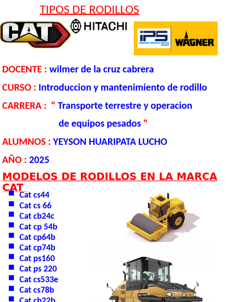 Tipos de Rodill-Wps Office | PDF