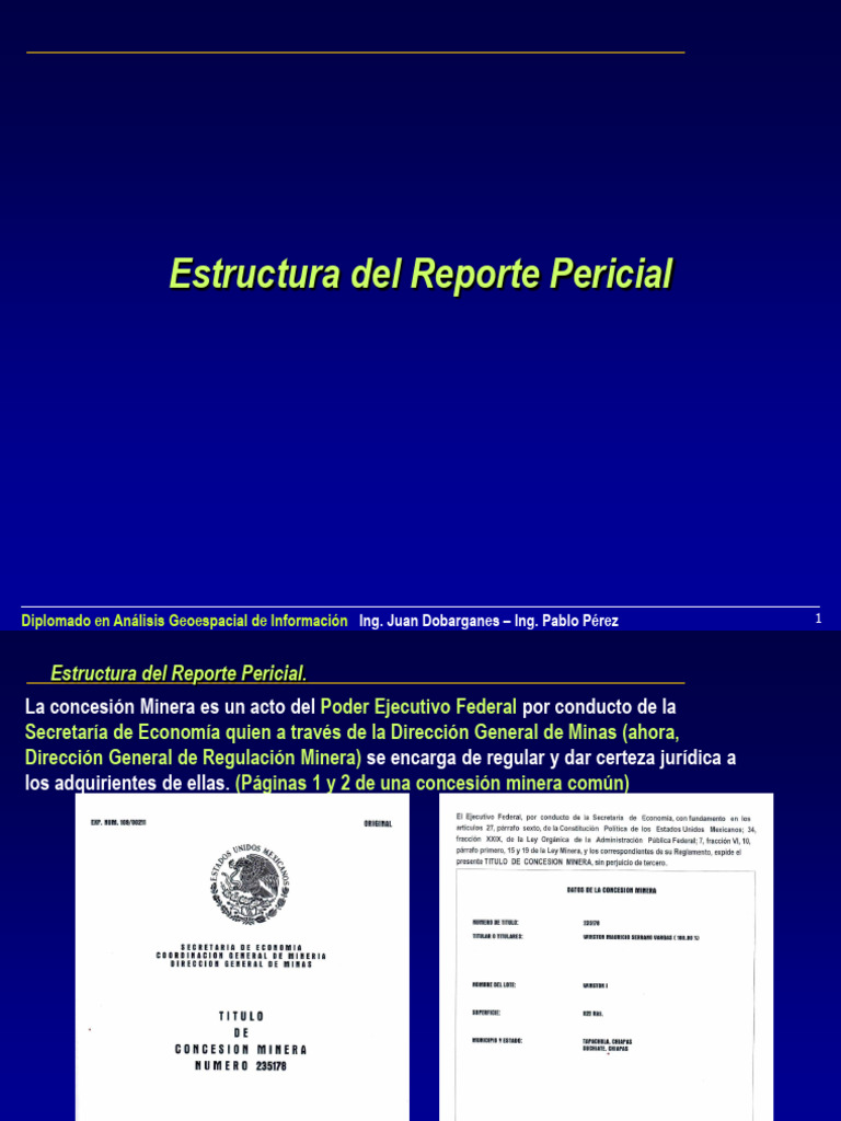 Estructura del Reporte Pericial Minero | PDF | Minería