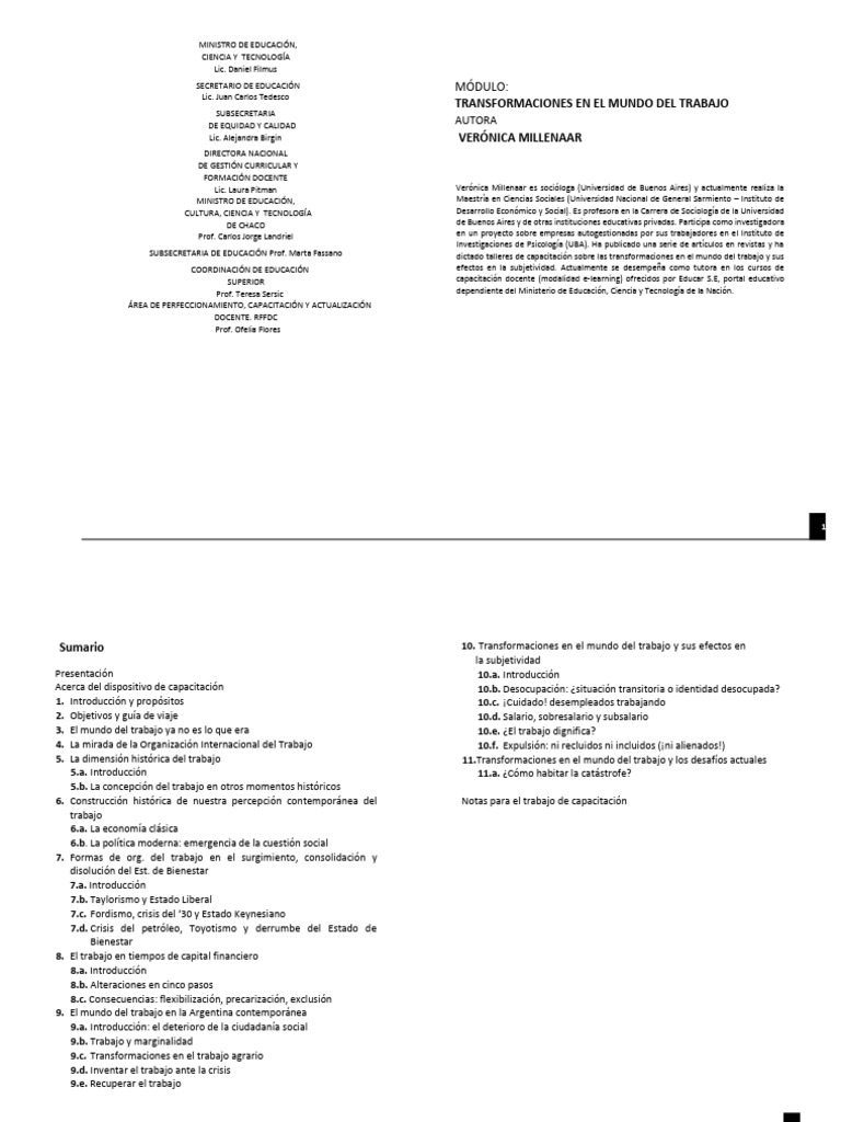 V. Millenaar - Transf en El Mundo Del Trabajo | PDF | Ocio | Sociedad