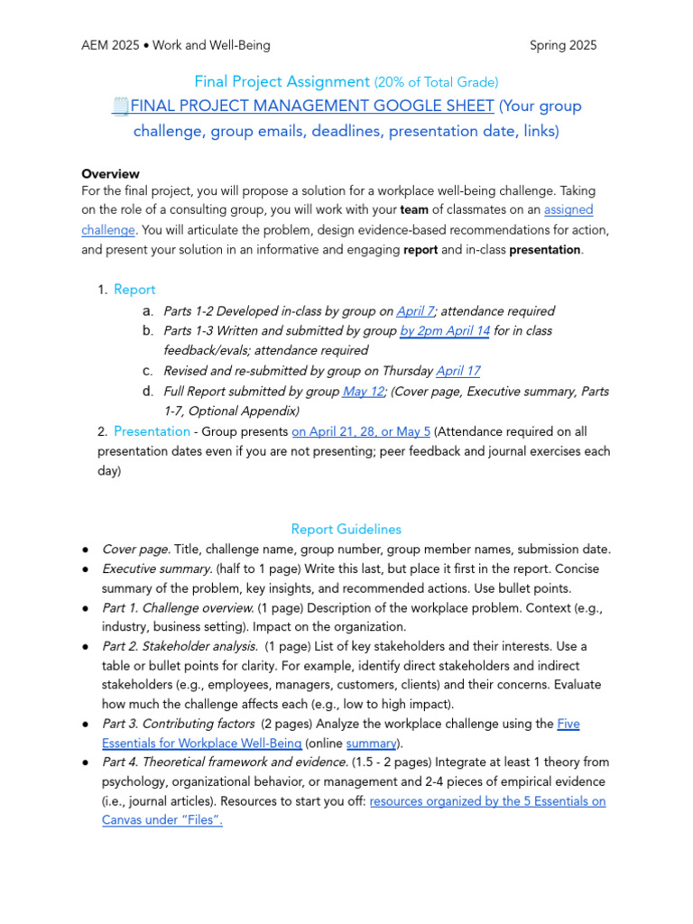 AEM 2025 Final Project Assignment | PDF | Social Psychology | Cognition