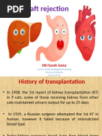 6 - Pelvic Rocking Exercises | PDF | Pelvis | Abdomen