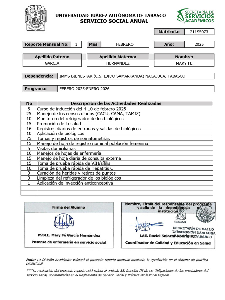 Formato Reporte Mensual Febrero - Copia - 063936 | PDF